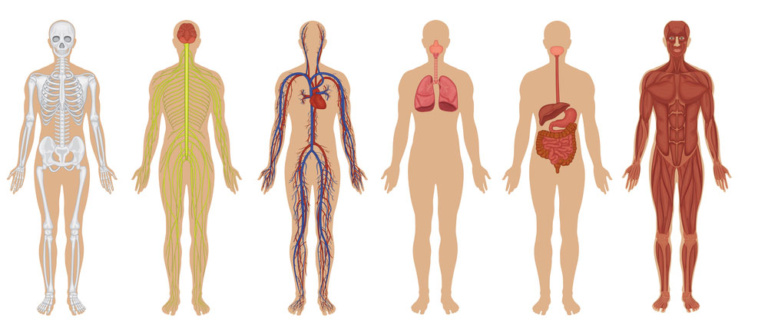 Physical - Annual Physical - Goals Healthcare NYC Primary Care
